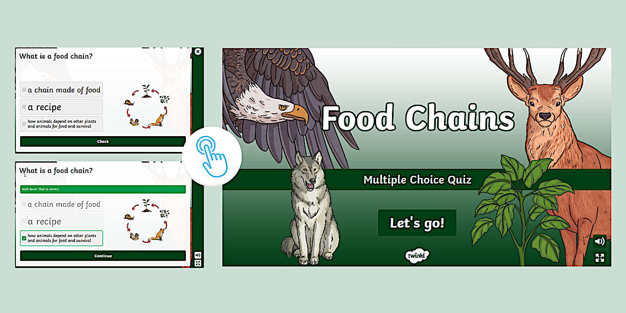 Food Chains Interactive Multiple Choice Quiz (teacher made)