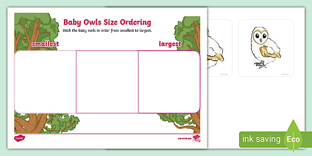 👉 Baby Owls Size Ordering Activity (teacher made)