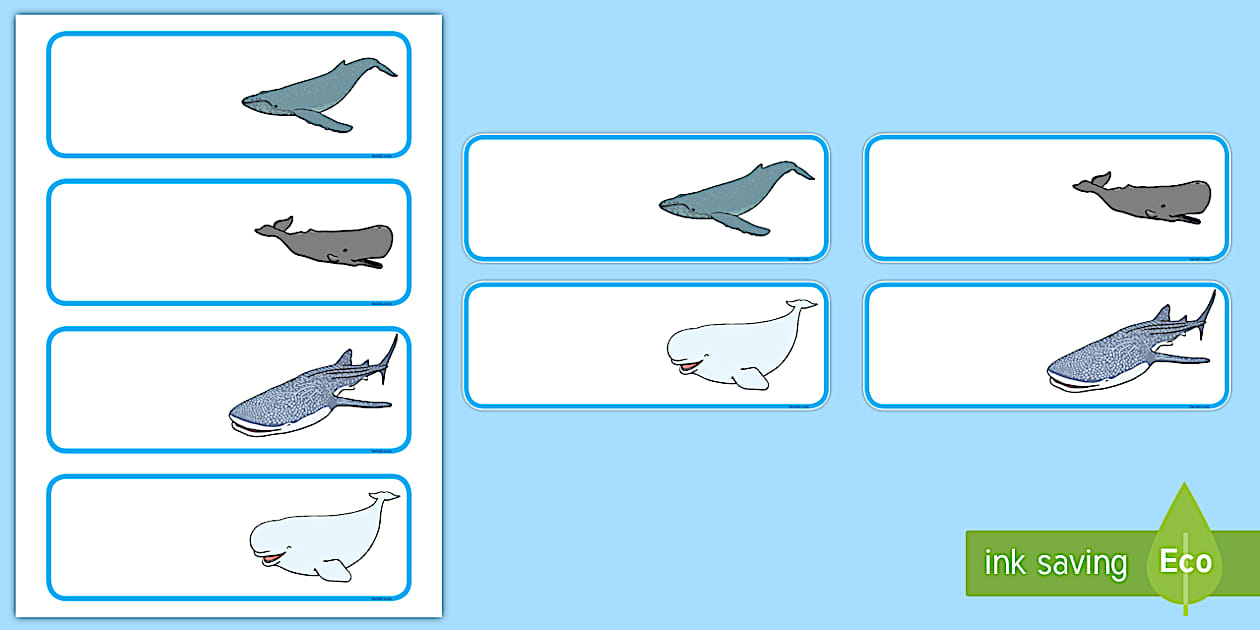 Blue Whale Themed Editable Drawer-Peg-Name Labels (Blank)