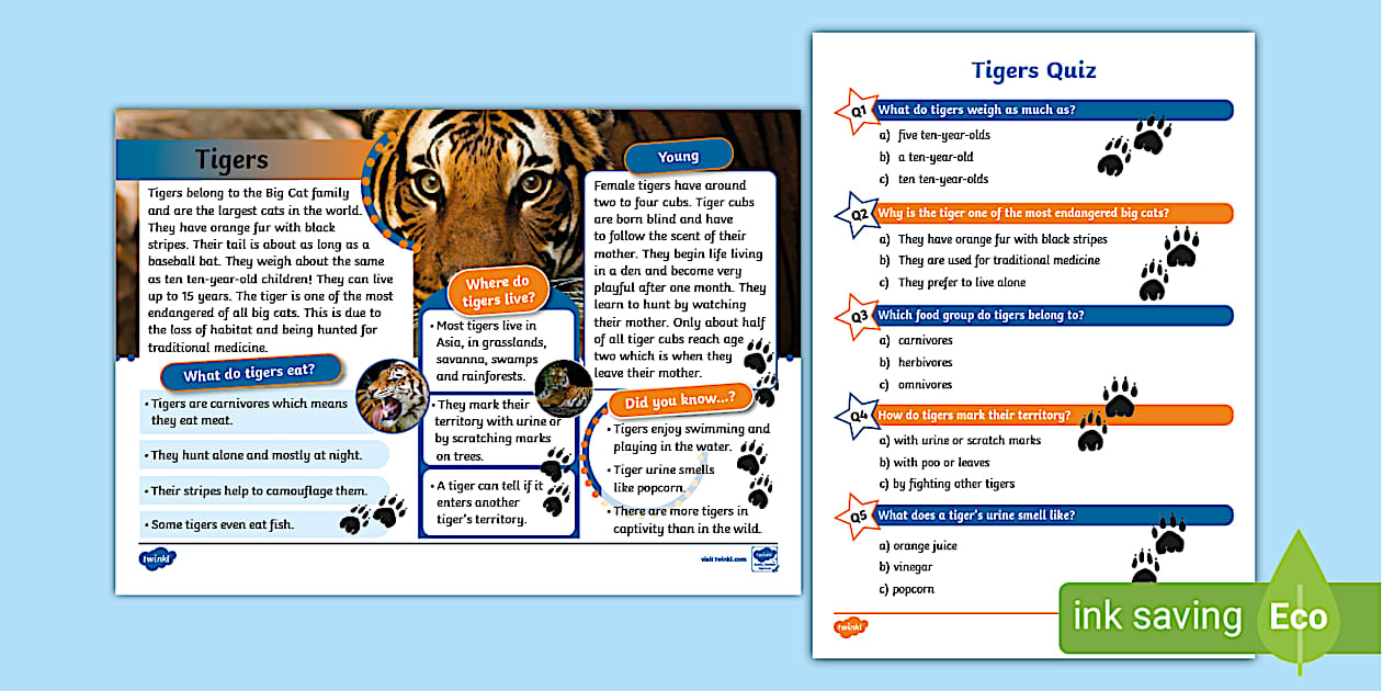 Tiger Fact File and Quiz (teacher made) - Twinkl Tiger Fact File and Quiz (teacher made) - Twinkl