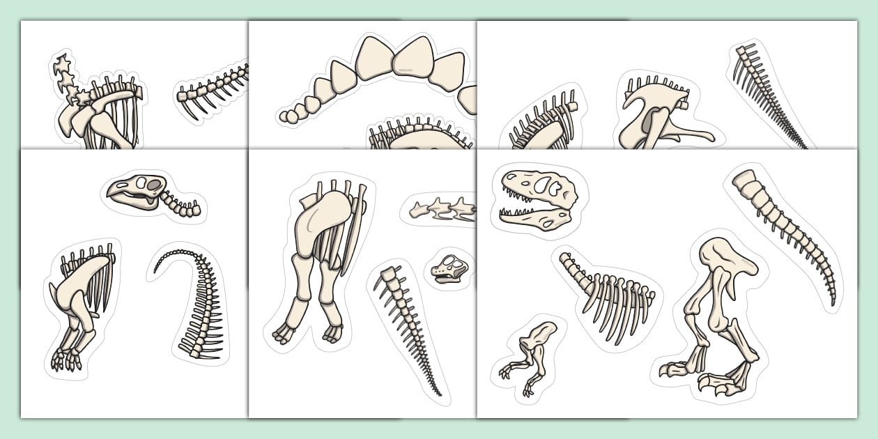 Dinosaur Skeleton Activity | Twinkl resources (teacher made)
