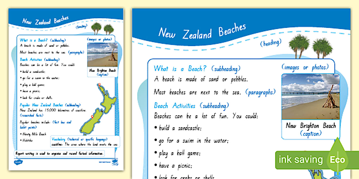 Report Writing: Exemplar Text (Level 1/Phase 1) - Twinkl