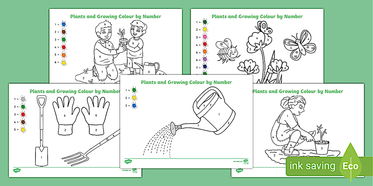EYFS Plants and Growing Colour by Numbers Activity Sheets