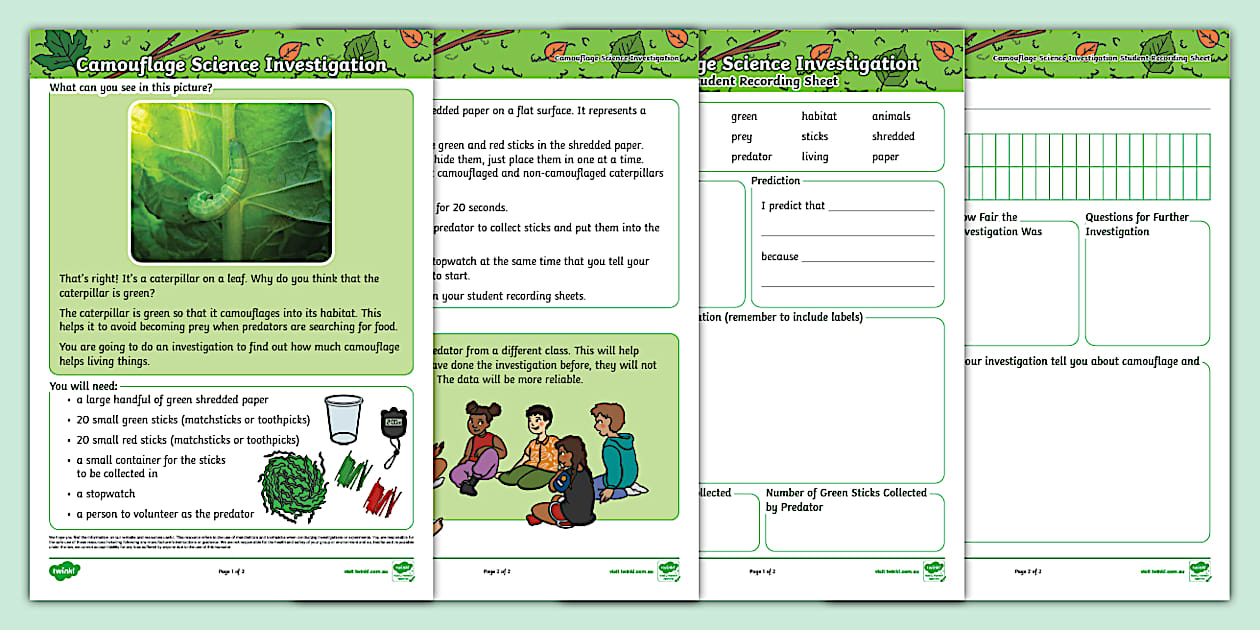 Camouflage Science Investigation (teacher made) - Twinkl