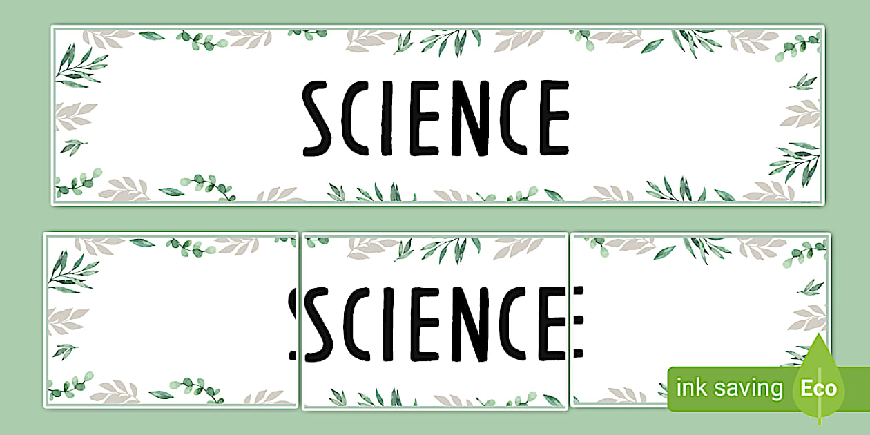 Botanical Themed Science Display Banner (professor feito)