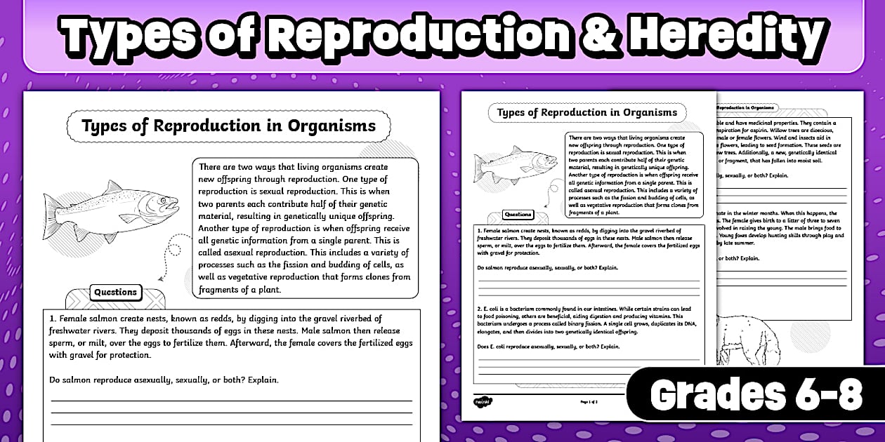 Types of Reproduction in Organisms Heredity Worksheet 6-8