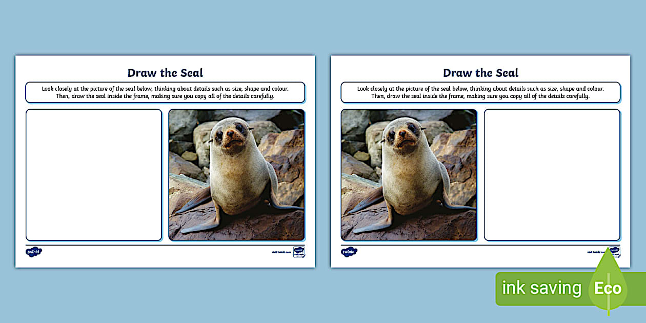 Draw the Seal Art Activity (teacher made) - Twinkl