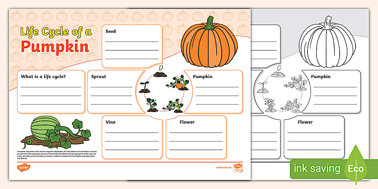 Life Cycle of a Pumpkin Fact File Template (teacher made)