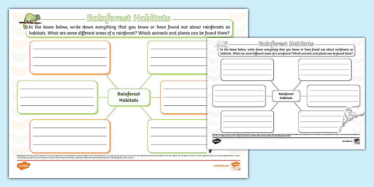 Rainforest Habitats Mind Map
