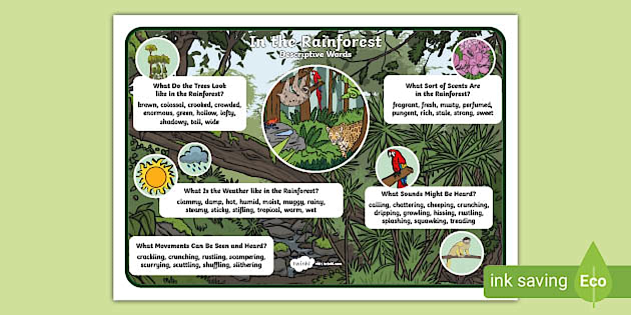 KS1 In the Rainforest Descriptive Word Mat - Twinkl
