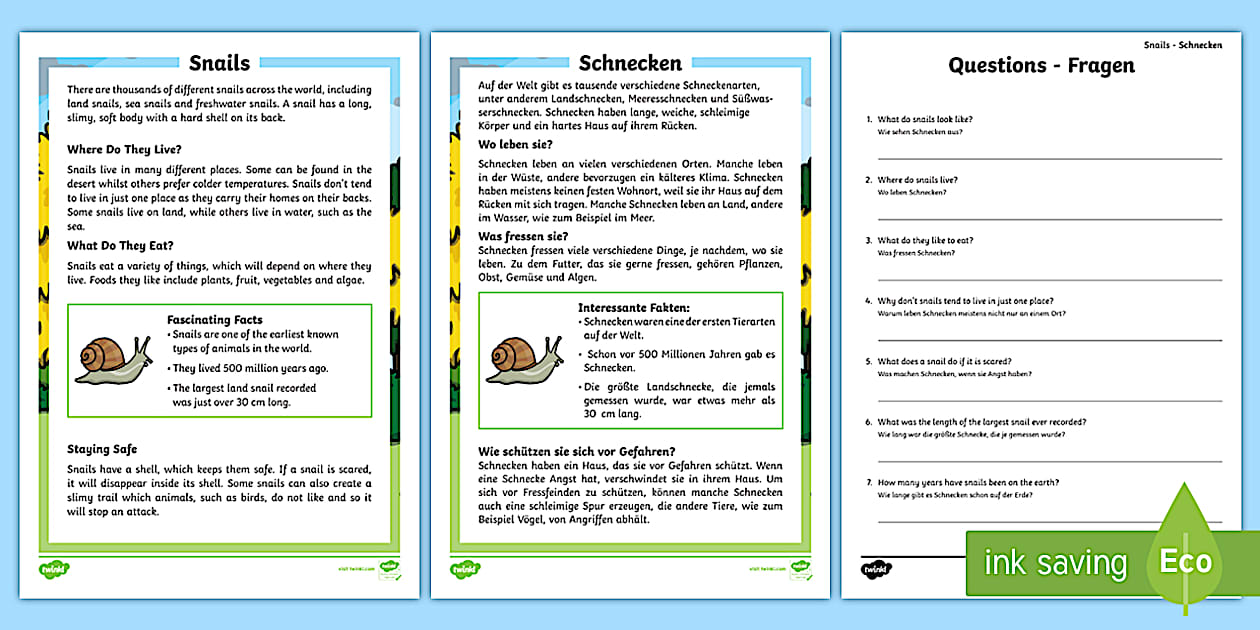 Snail Reading Comprehension Activity Pack English/German