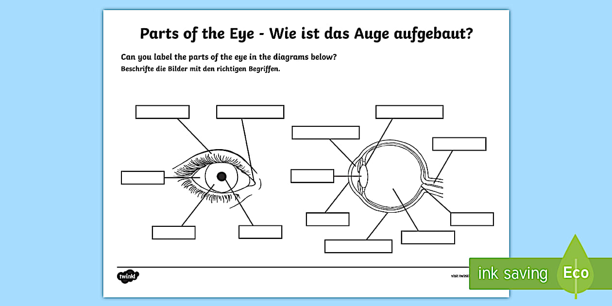 The Human Eye Labelling Activity English/German - Twinkl