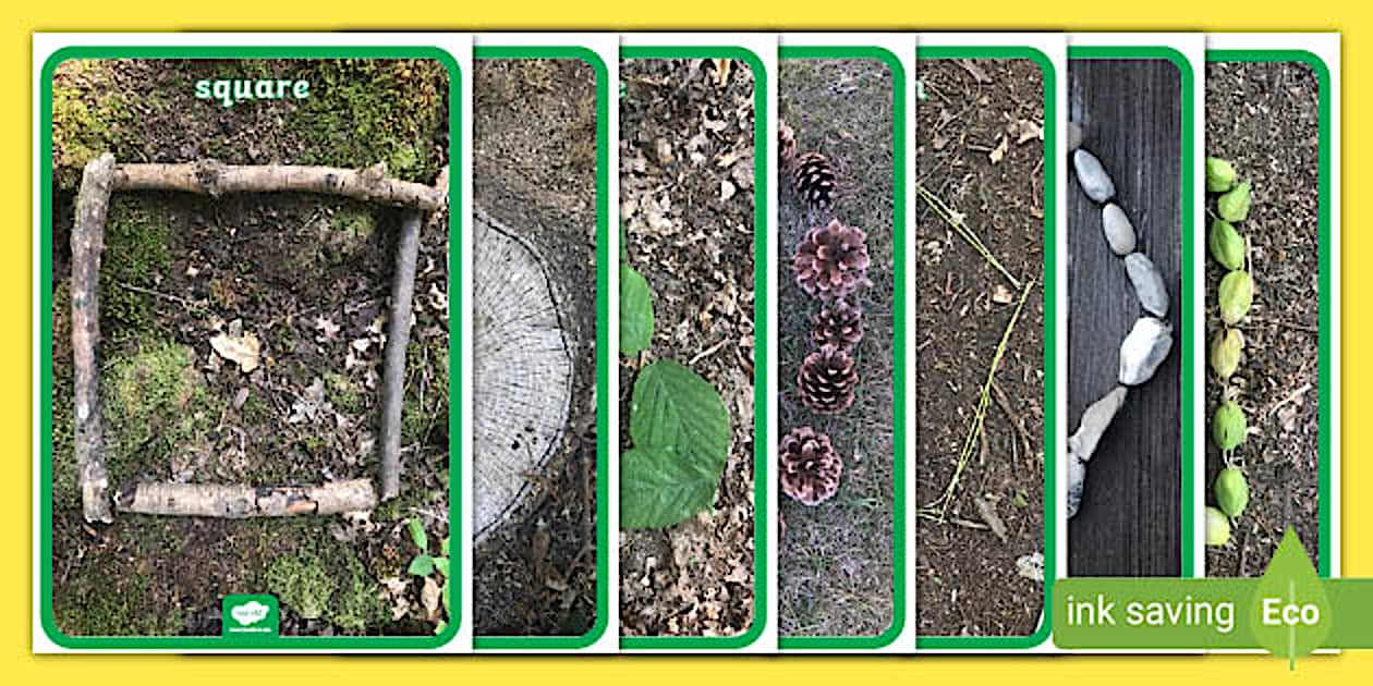 👉 Nature-Themed 2D Shape Display Posters (teacher made)