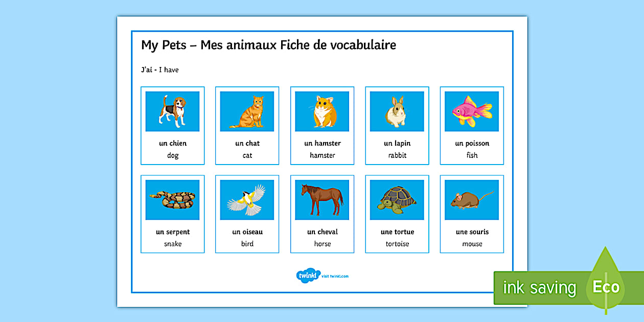 My Pets Word Mat French (teacher made) - Twinkl