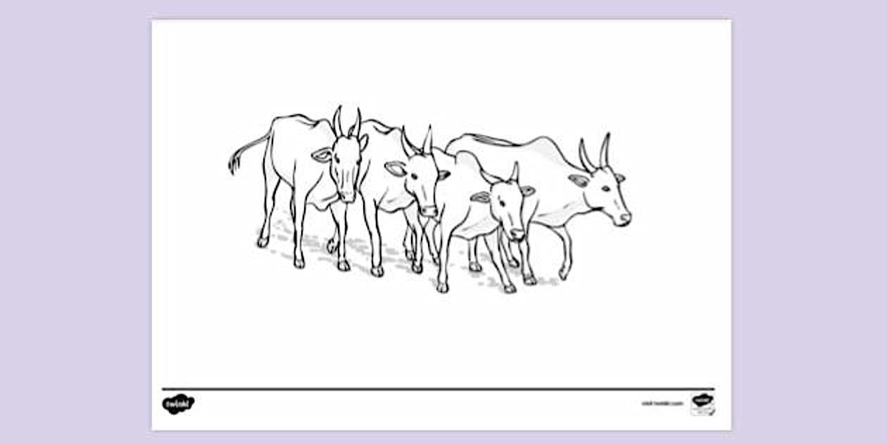 Sending Out Oxen to Trample the Ground Colouring Sheet