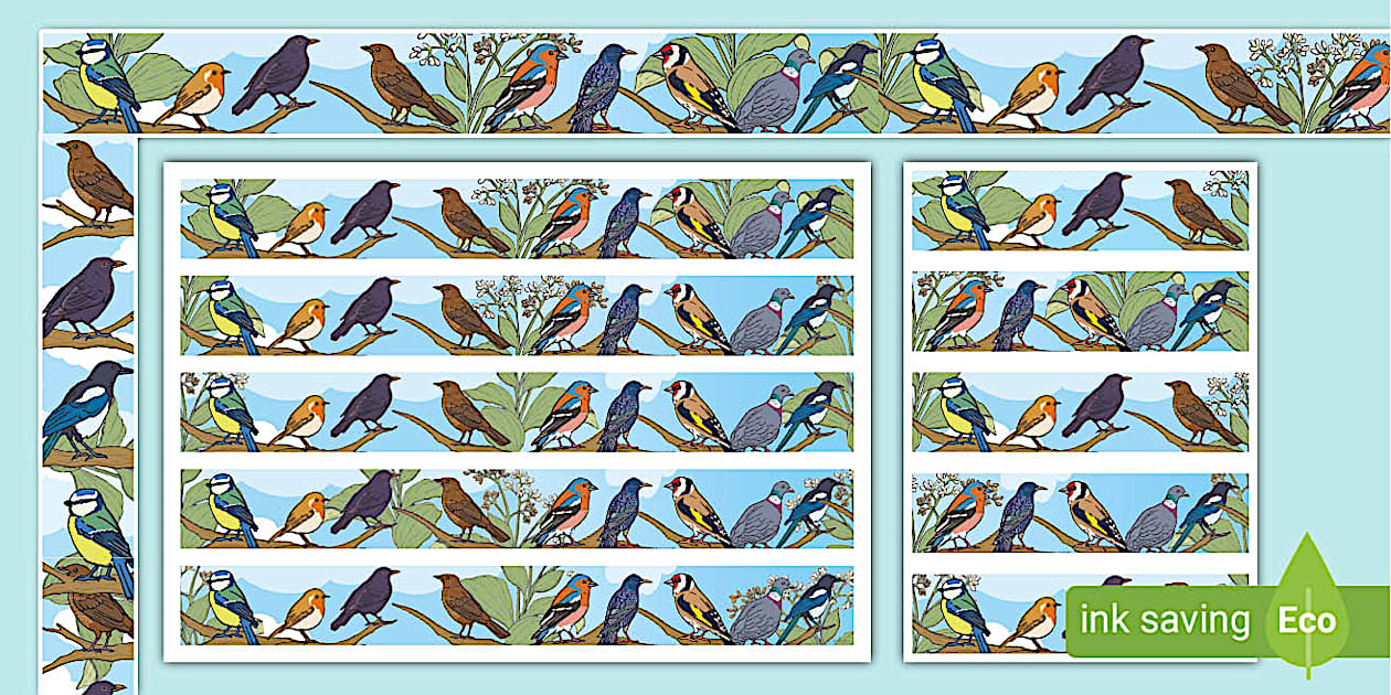 Garden Birds Display Borders (teacher made) - Twinkl