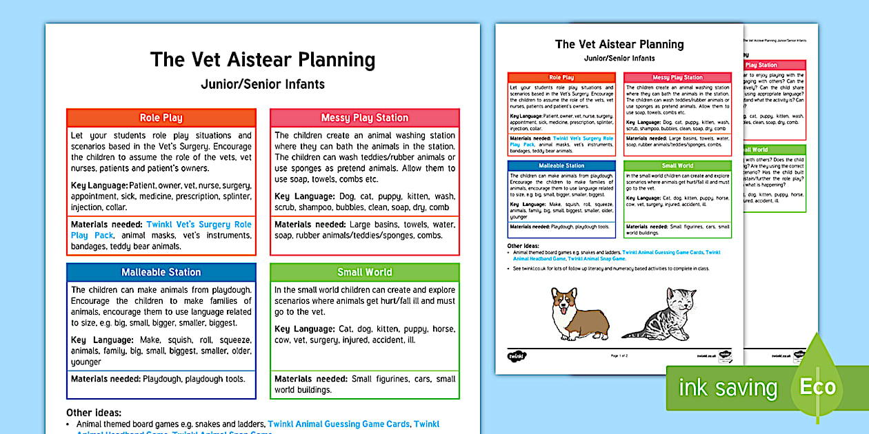 The Vet Aistear Planning Overview (teacher made) - Twinkl