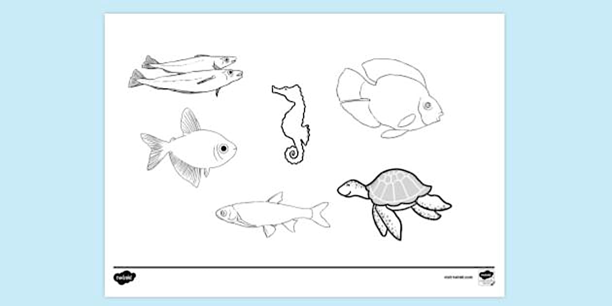 Ocean Colouring Page | Colouring Sheets - Twinkl