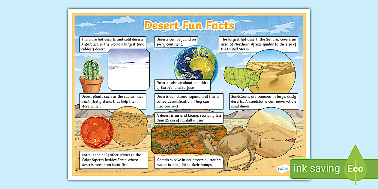 Desert Fun Facts Display Poster (teacher made) - Twinkl
