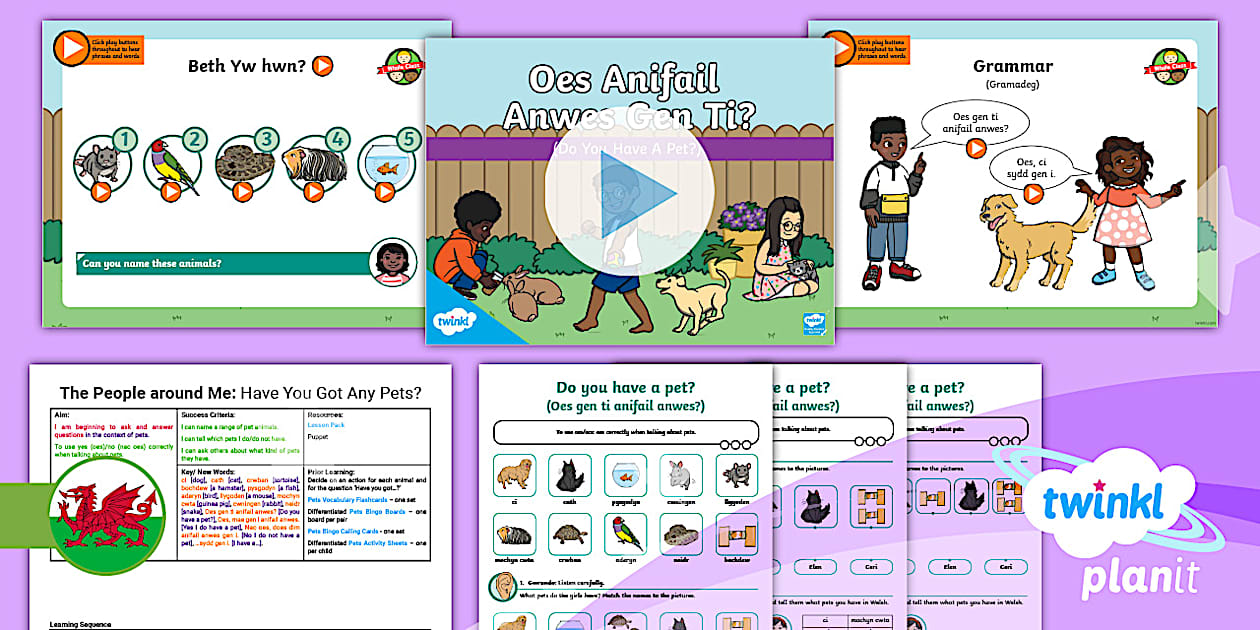 Learn Welsh: The People Around Me: Lesson 2 - Pets - Twinkl