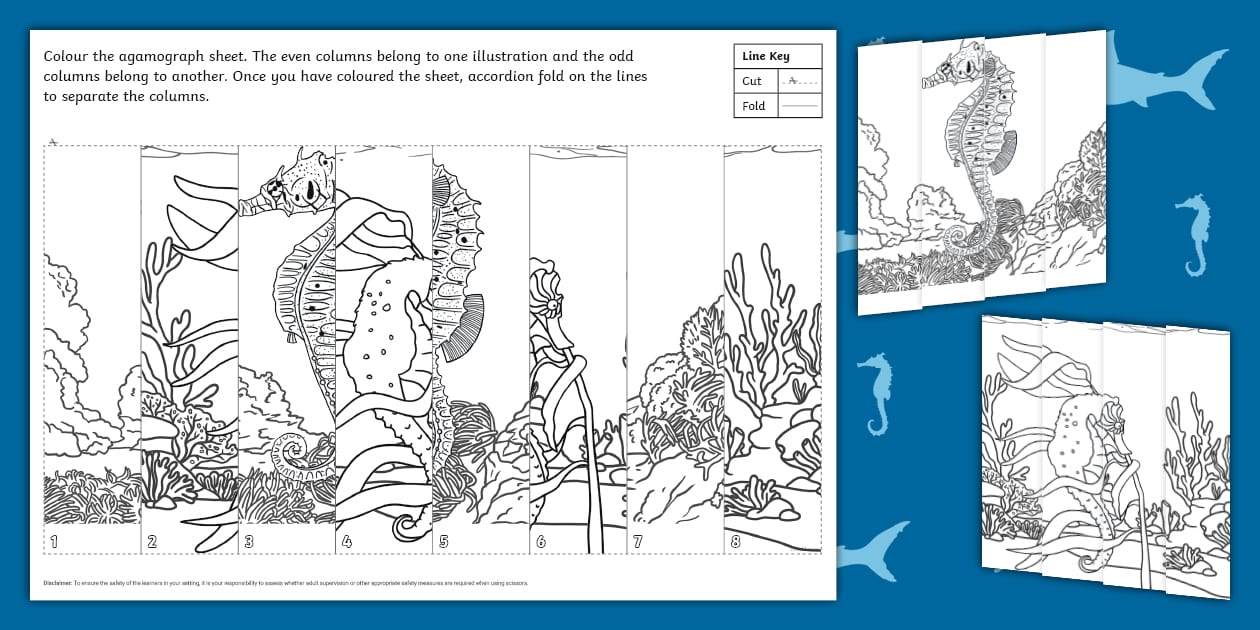 Seahorse Agamograph (Teacher-Made) - Twinkl