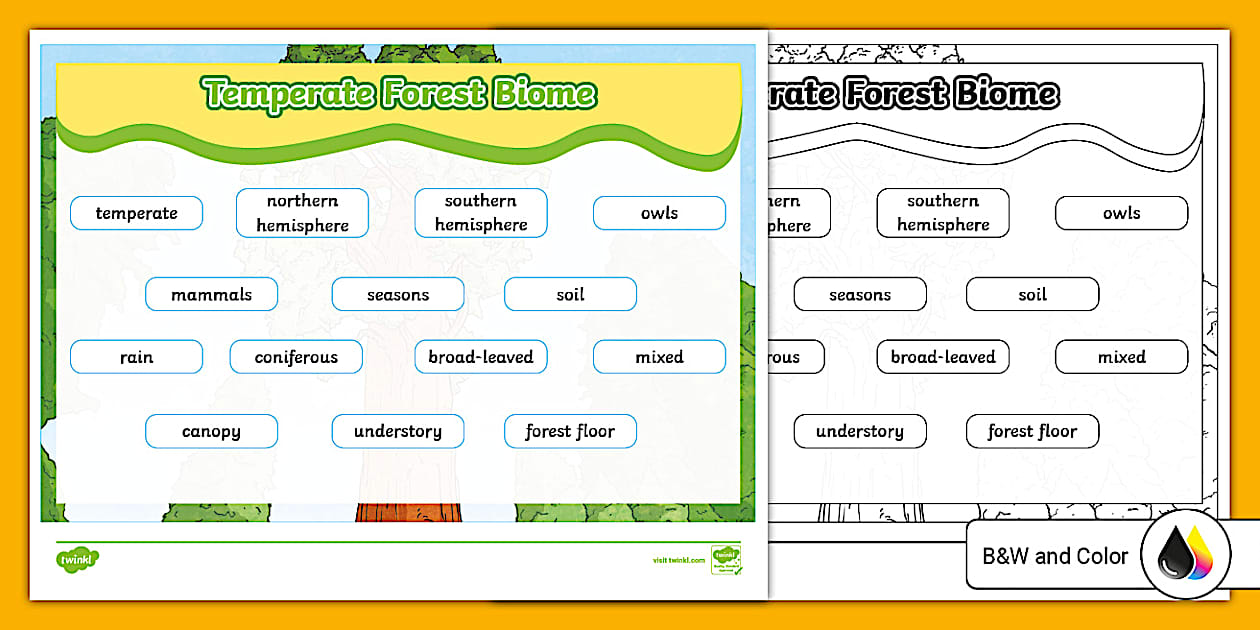Temperate Forest Biome Vocabulary Mat for 3rd-5th Grade