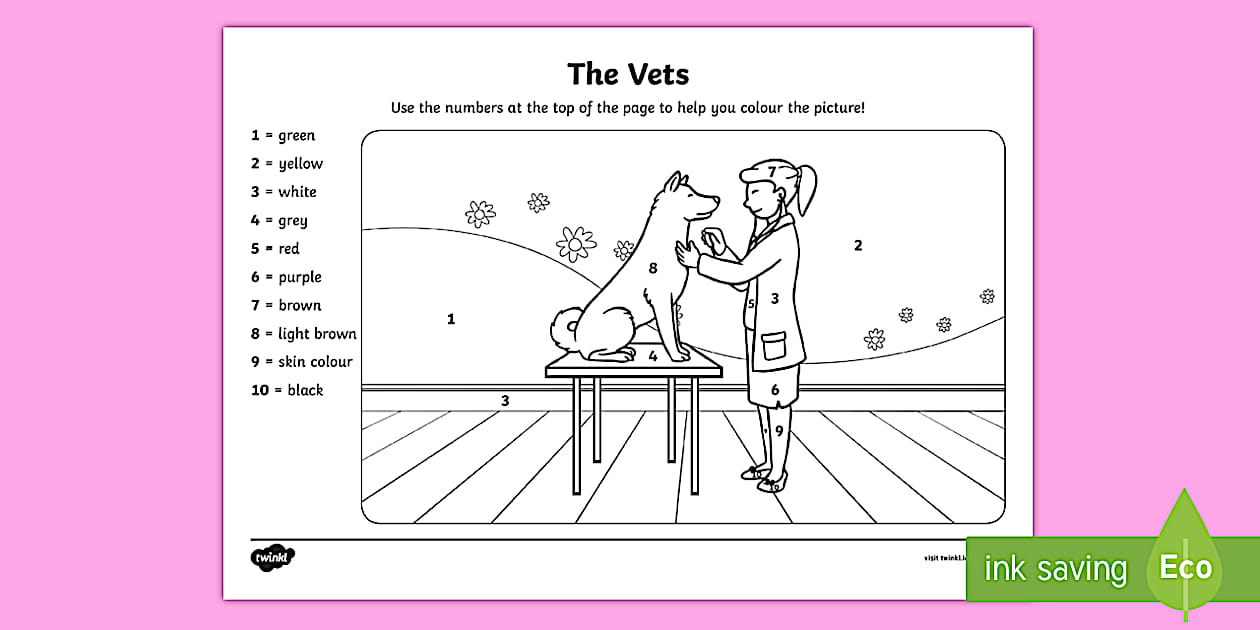 The Vets Aistear Colour by Number - Twinkl