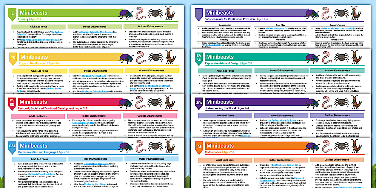 EYFS Minibeasts Planning and Continuous Provision (Ages 2-4)