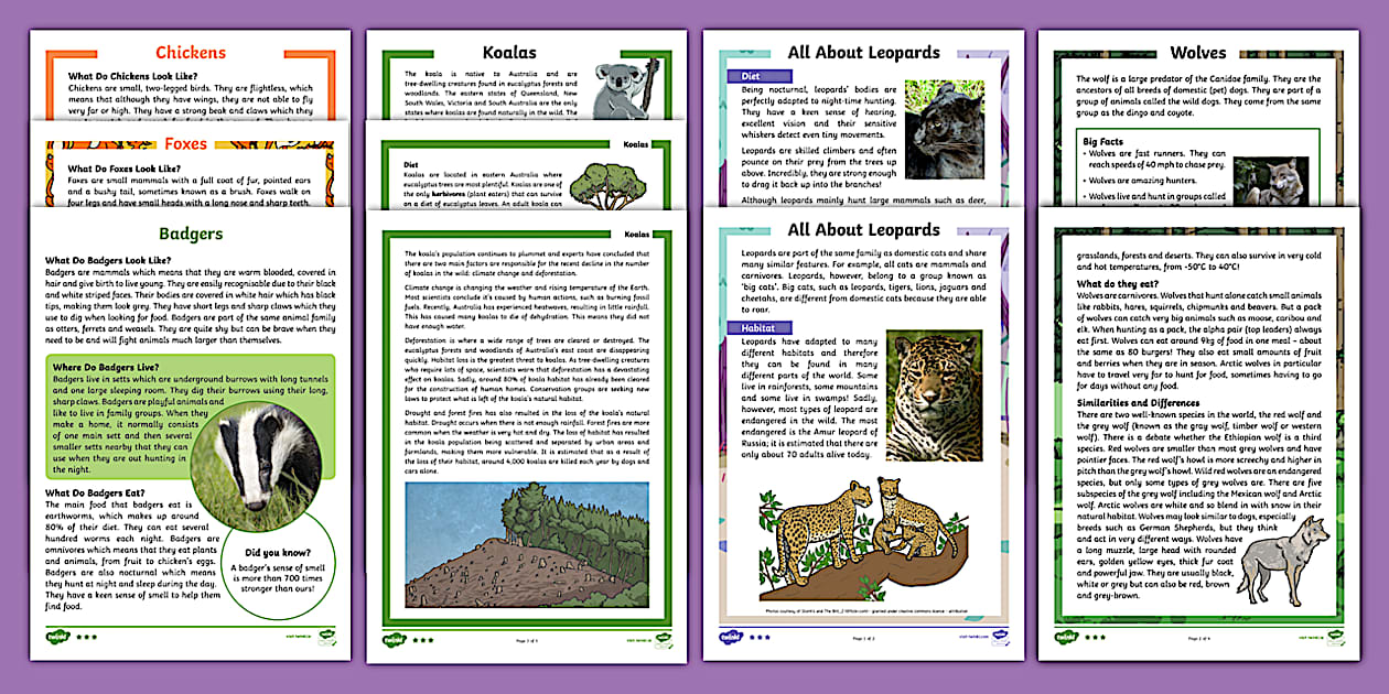 English First/Second Class Reading Pack 1 Reading Comprehensions