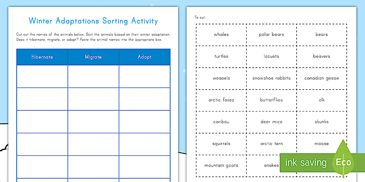 How Do Animals Adapt Sorting Activity Worksheet | Twinkl USA