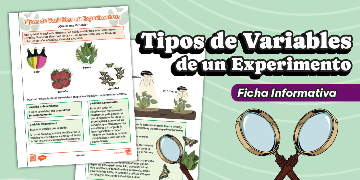 Ficha Informativa | Variables de un Experimento | Ciencias