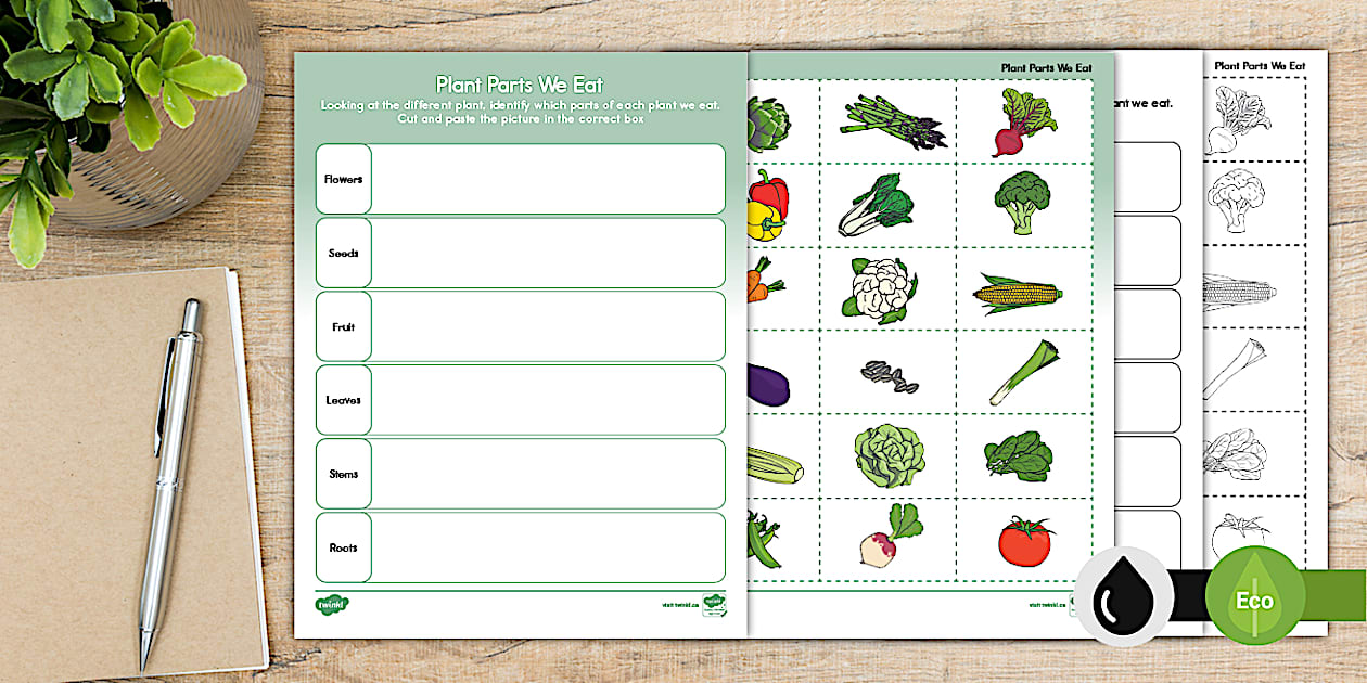 Plant Parts We Eat Sorting Activity