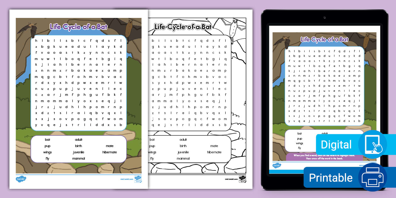 Life Cycle of a Bat Word Search for K-2nd Grade