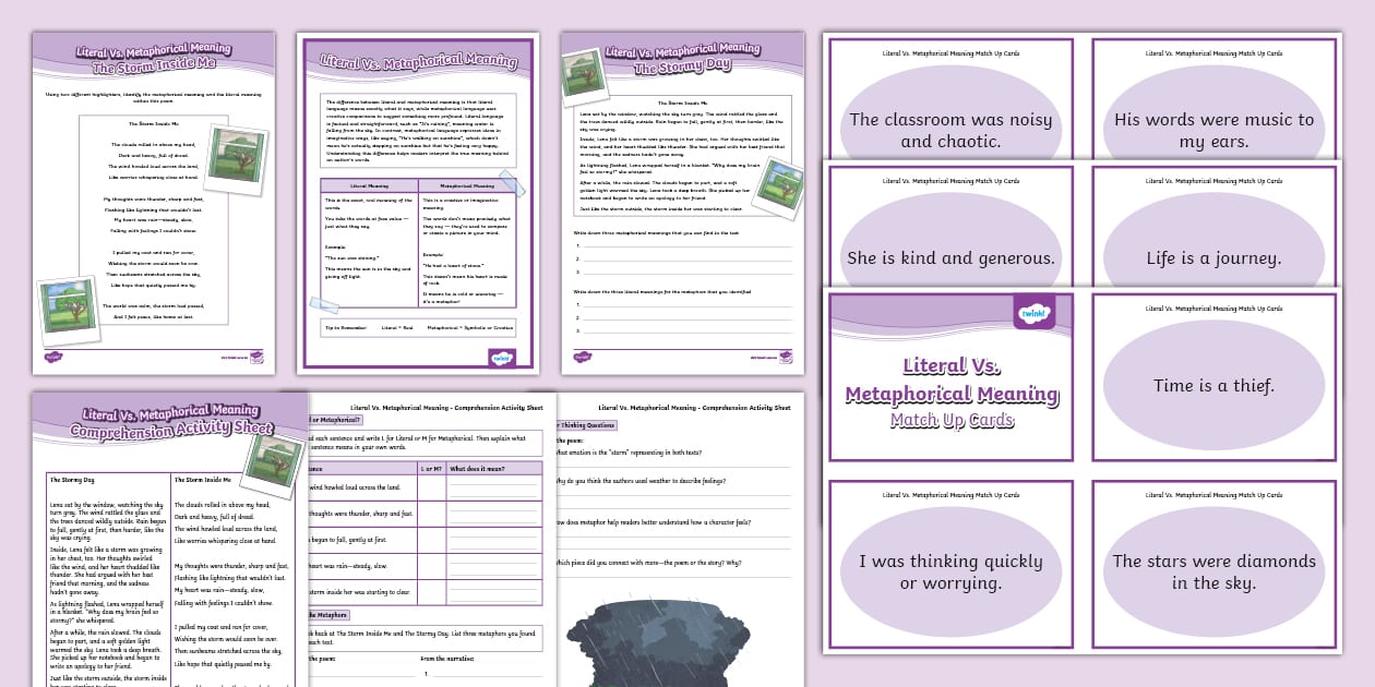 Literal Vs. Metaphorical Meaning Activity Pack - Twinkl