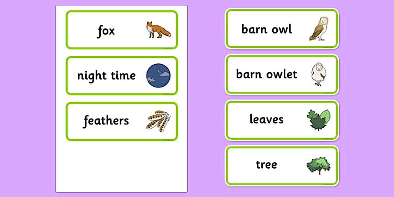 Owl Word Cards (teacher made) - Twinkl