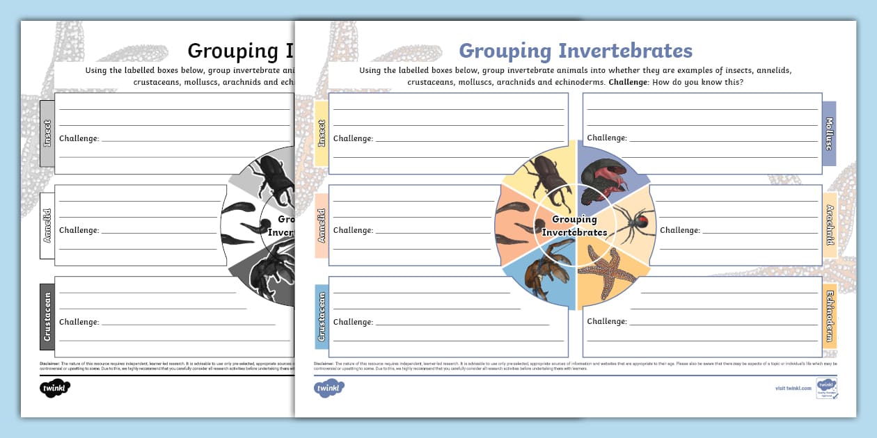 Grouping Invertebrates Mind Map (Teacher-Made) - Twinkl