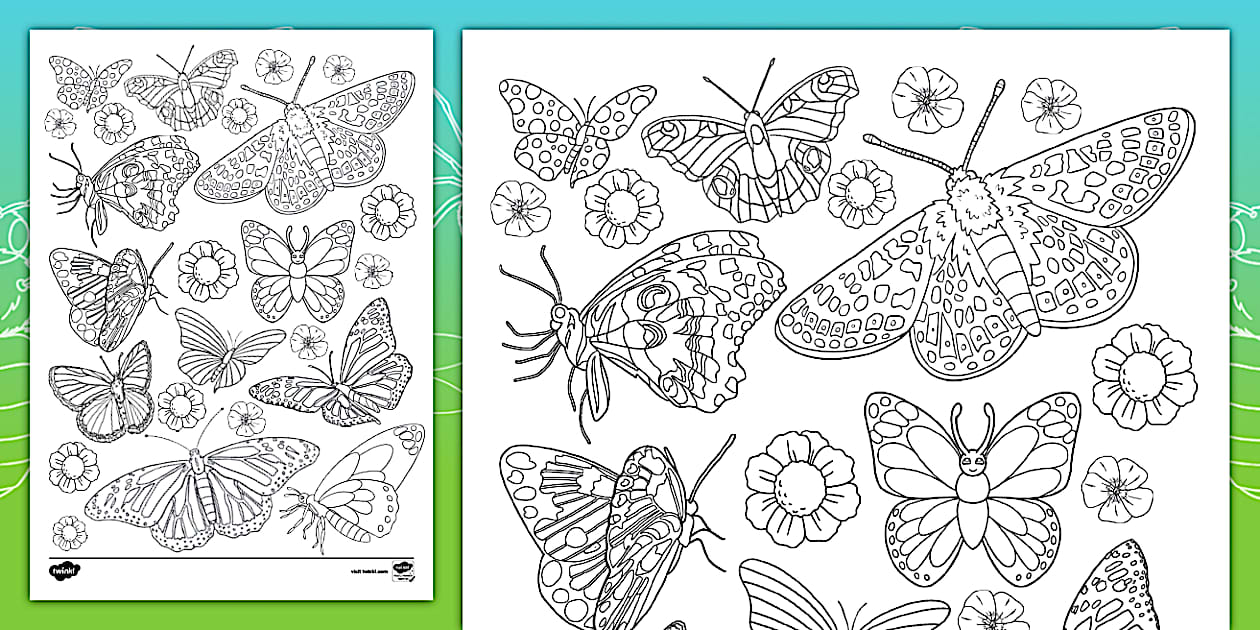 Butterfly Doodle Colouring Page - Twinkl - Minibeasts