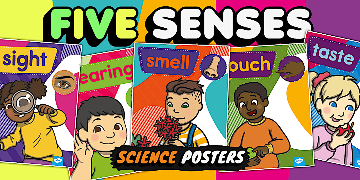 Editable Five Senses Posters (teacher made) - Twinkl
