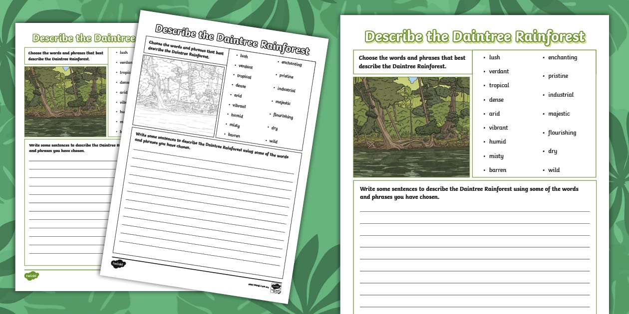 Describe the Daintree Rainforest Worksheet (teacher made)