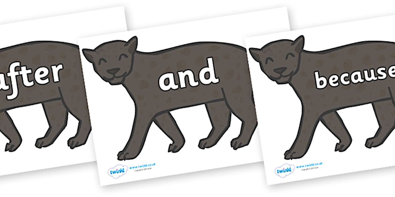 Cursive Connectives on Panthers (teacher made) - Twinkl