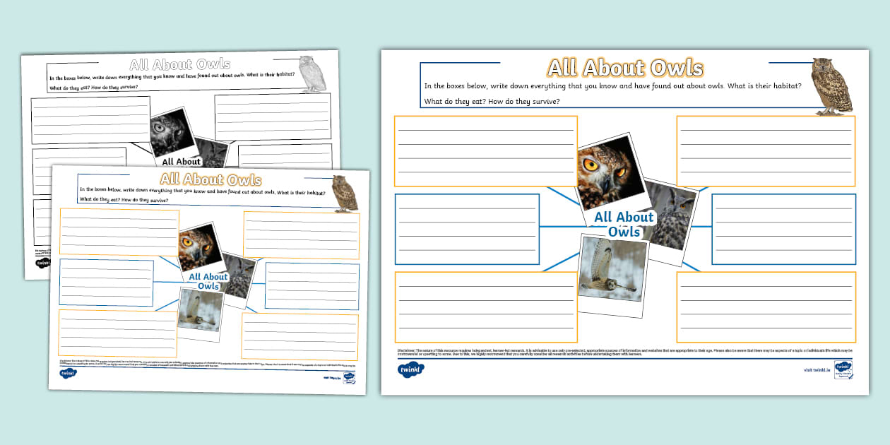 All About Owls Mind Map Template - Twinkl