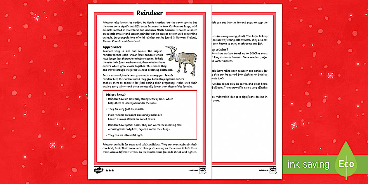 KS2 Reindeer Differentiated Fact File (teacher made)
