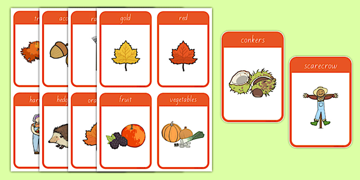 Autumn Flashcards (creat de profesori) - Twinkl