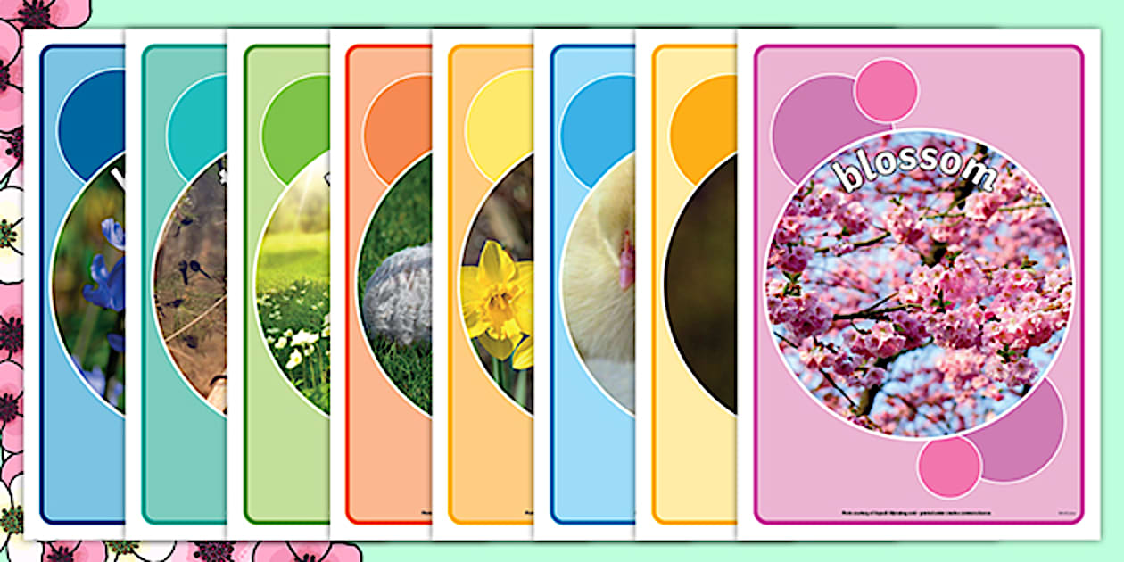 Spring Display Pictures - Printable Primary Resource