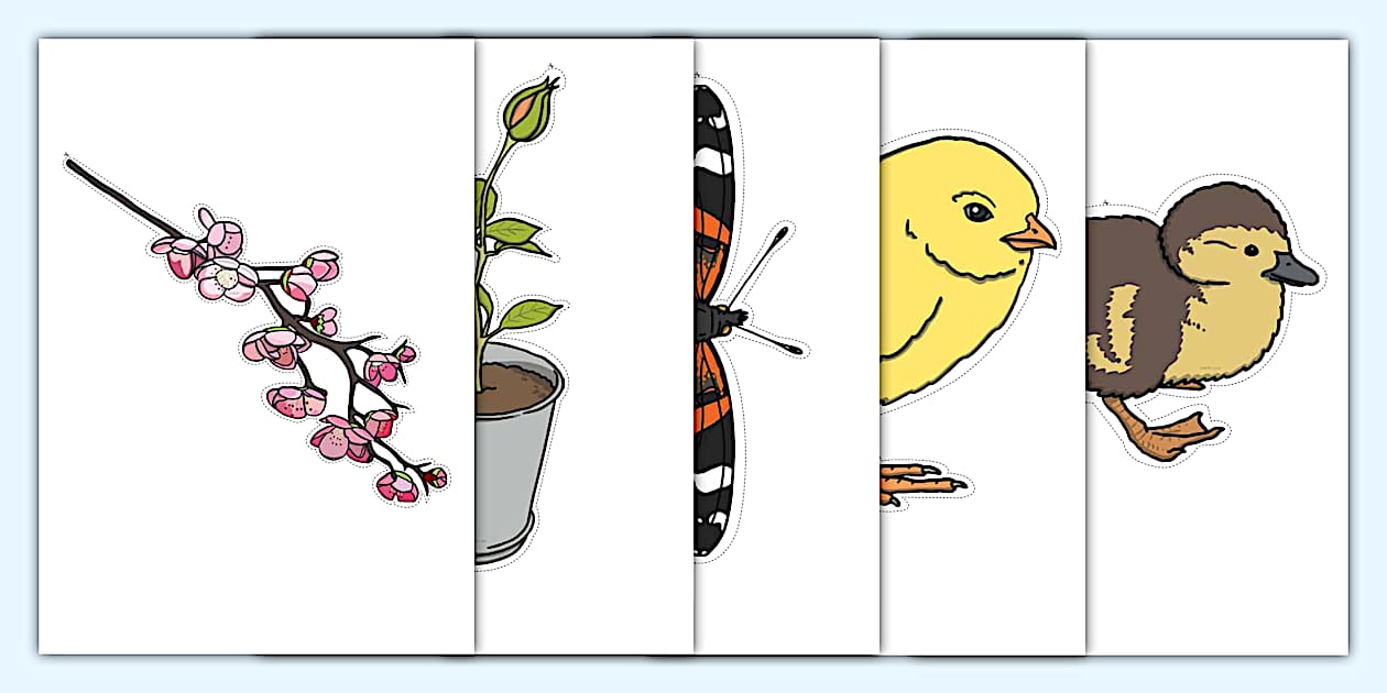 Spring Season Images Pack - Teacher-made Primary Resource