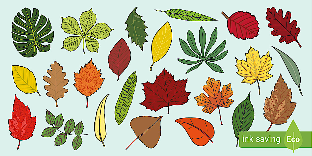 A4 Coloured Leaves Cut-Outs (Teacher-Made) - Twinkl
