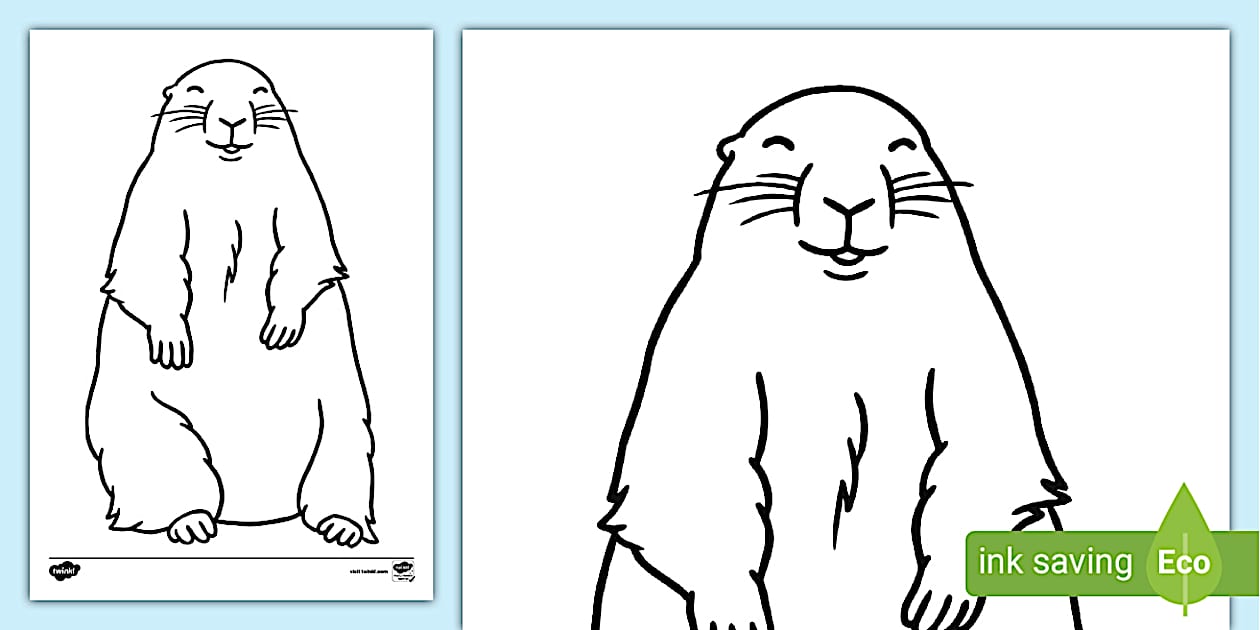 Gopher Colouring Sheet - Primary Resources (teacher made)