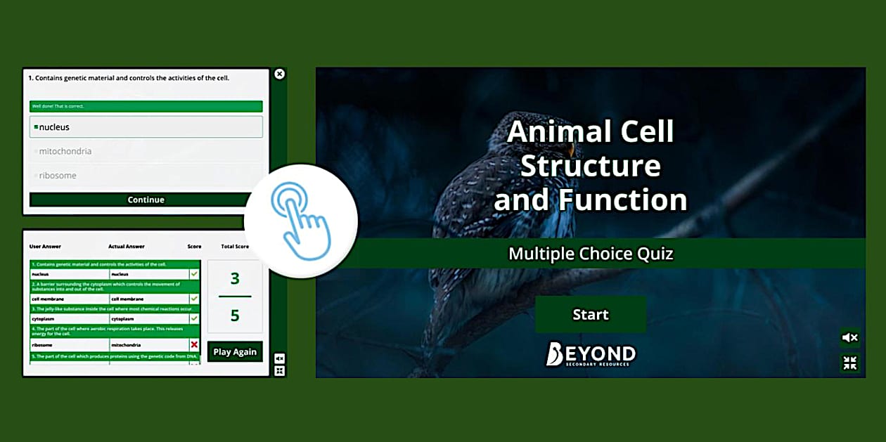 Animal Cell Structure and Function Multiple Choice Interactive Activity
