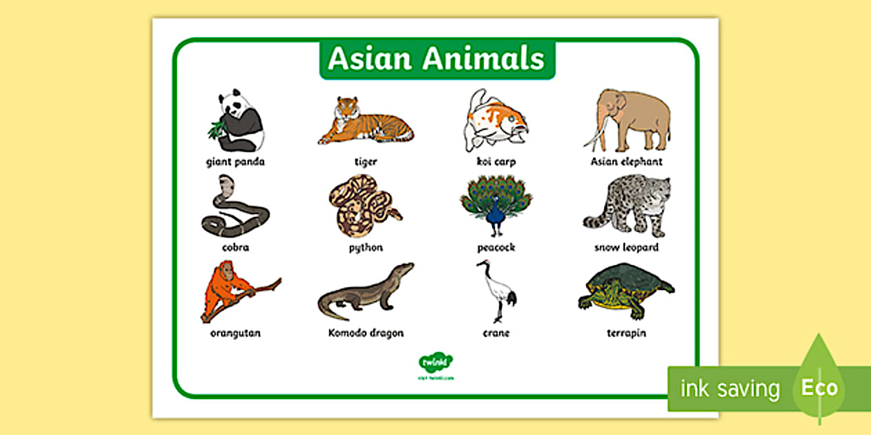 Asian Animals Word Mat