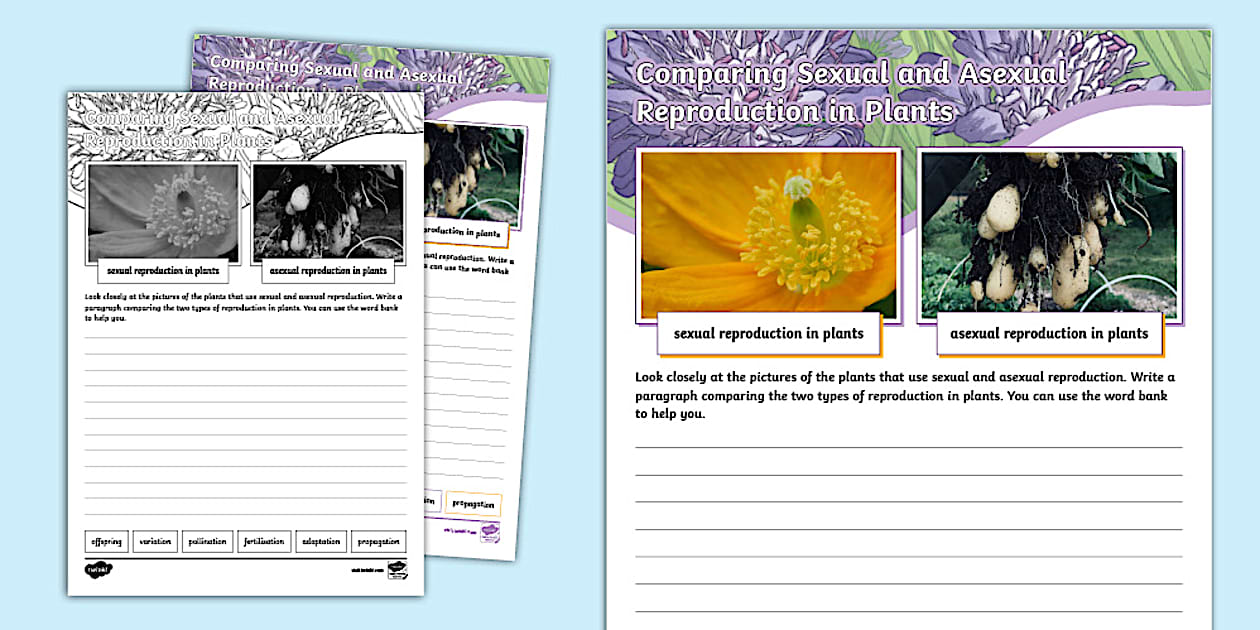 Comparing Sexual and Asexual Reproduction in Plants Worksheet